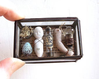 Pocket Museum - Glass Box Assemblage Curiosity Art Object - Etsy