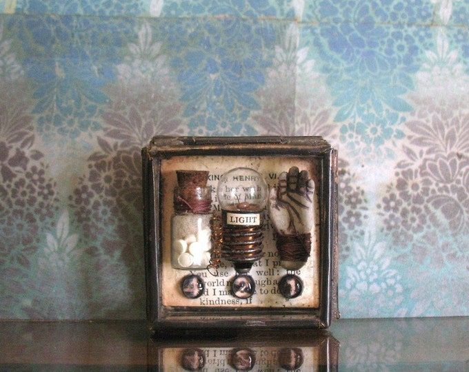 Pocket Museum - Glass Box Assemblage Curiosity Art Object - Etsy