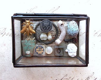 Pocket Museum - Glass Box Assemblage Curiosity Art Object - Etsy