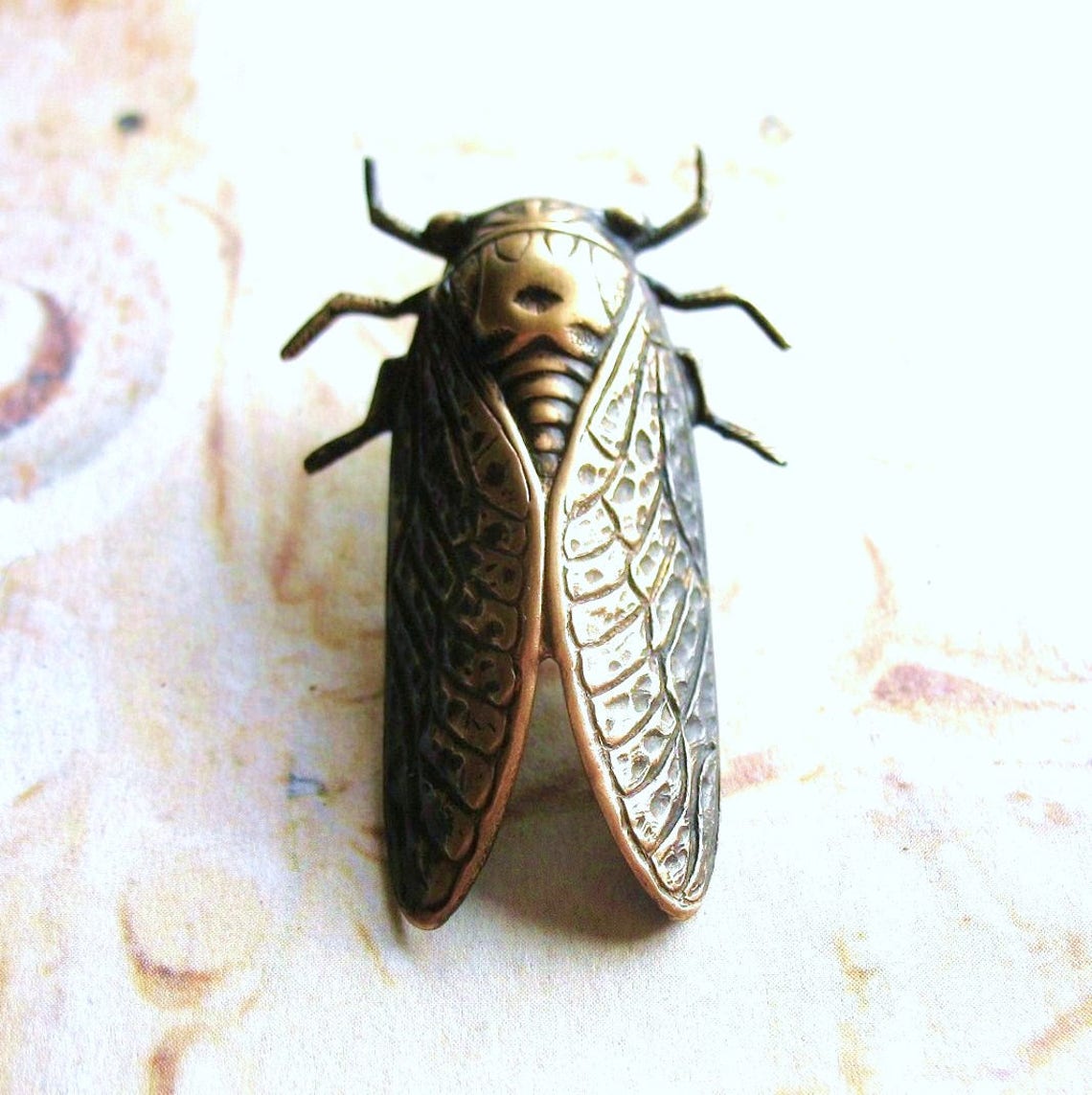 Lovely Bug Antiqued Brass Cicada Bug Beetle Brooch Tie Pin | Etsy