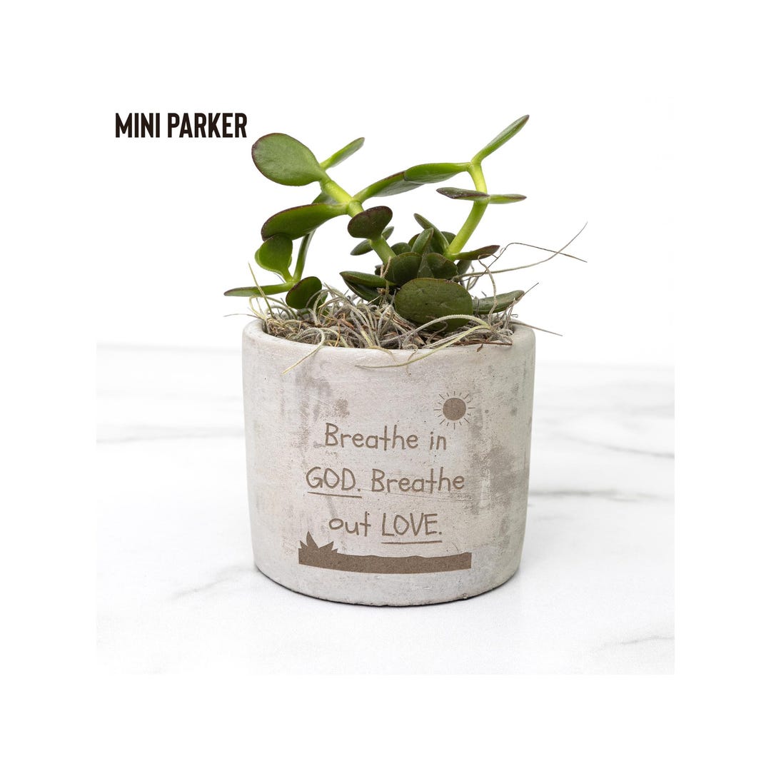 Meditation Mantra Potted Desk Plant, Desk Top Succulent, Recovery ...