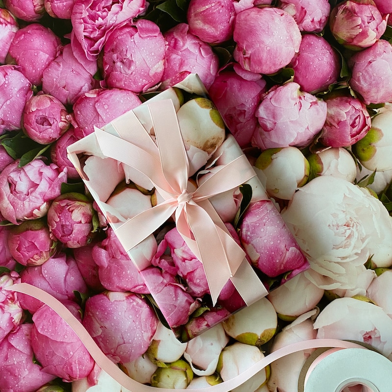 Peonies Paper - Etsy