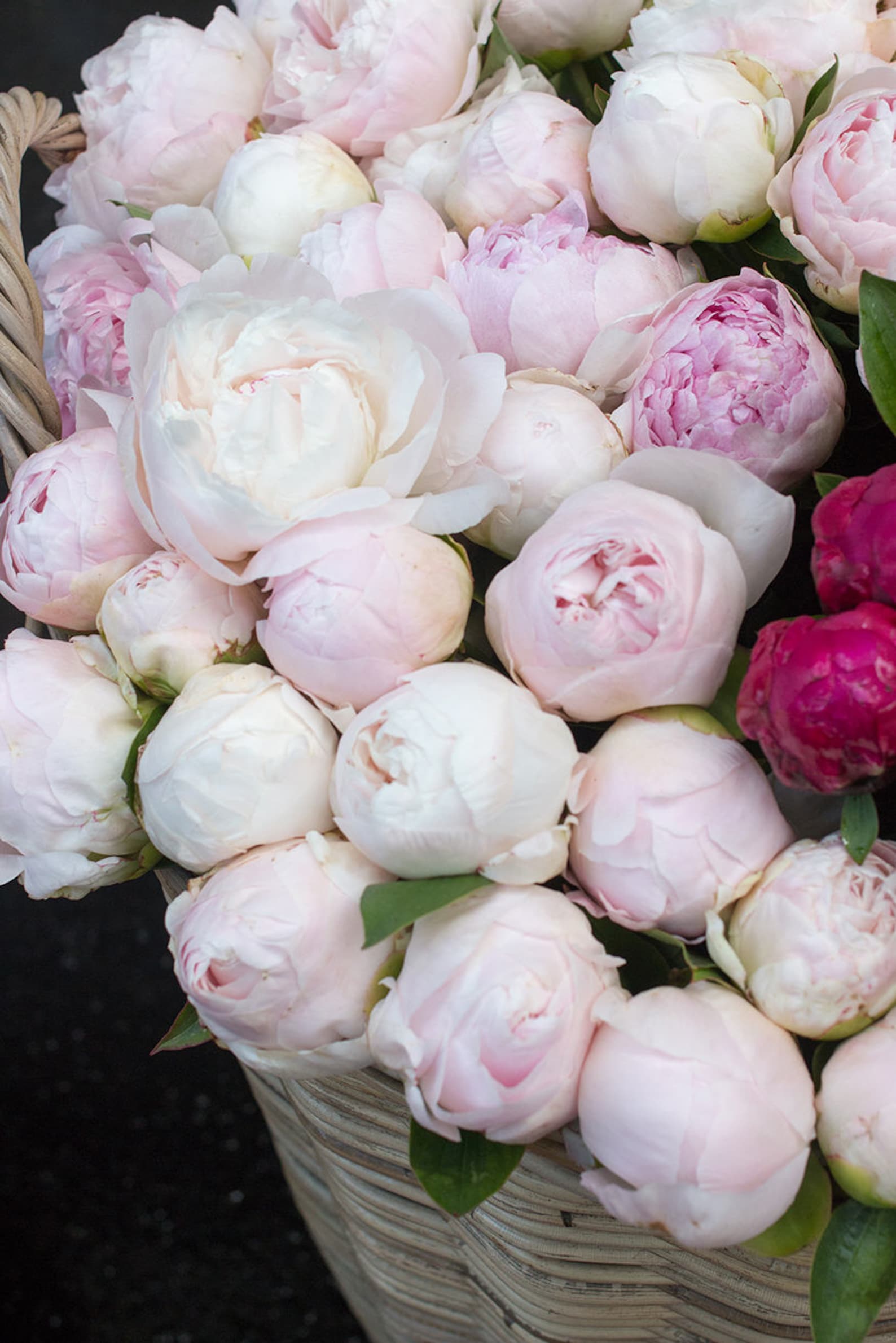 Paris Photography, Paris Pink Peonies, French Market, Parisian Florist ...