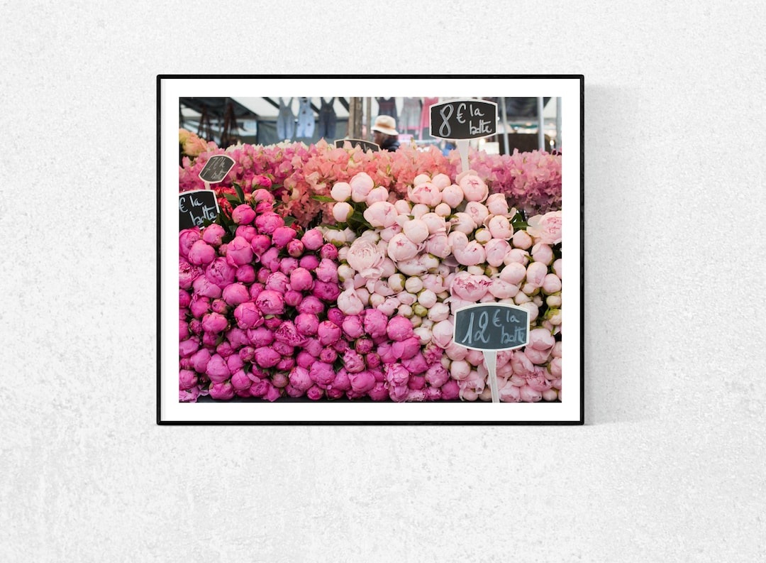 Paris Photography, Sundays in Paris, Pink Peonies, Parisian Market ...