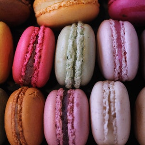 Macaron Wrapping Paper, Francophile Gift, Holiday Wrapping Paper ...