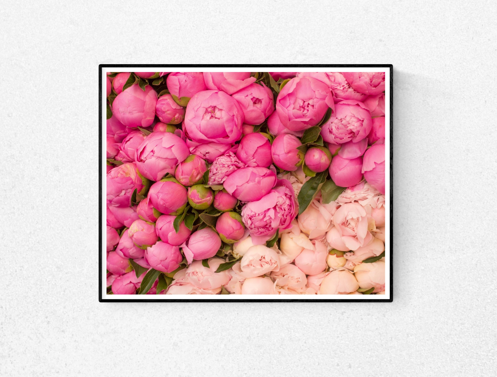 Paris Photography, Paris Peony Season, Pink Hues, Market in Paris, Pink ...