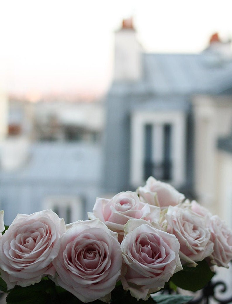 Paris Photography, Paris Apartment, Pink Roses on the Paris Balcony ...