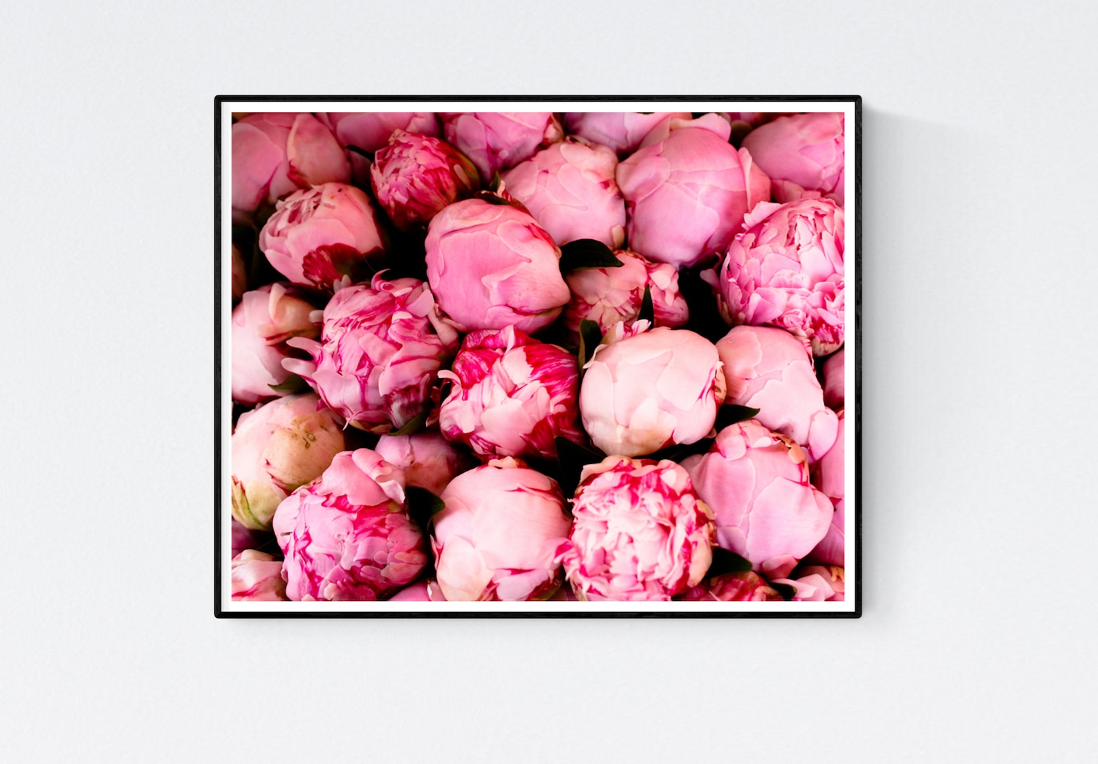 Paris Photography, Fragrant Pink Peonies, French Market in Southern ...