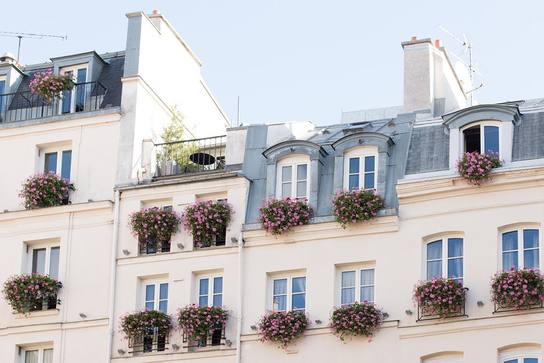 Paris Photography, Balconies on St Germain, Parisian Rooftops, Pink ...