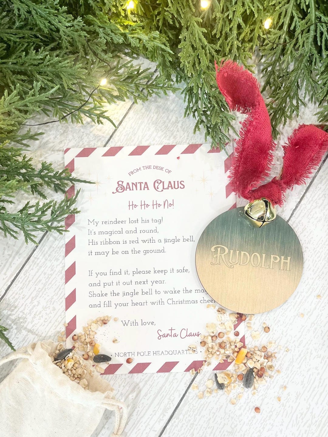 Santa & Reindeer Evidence Kit – Letter, Reindeer Tag, Feed - Etsy