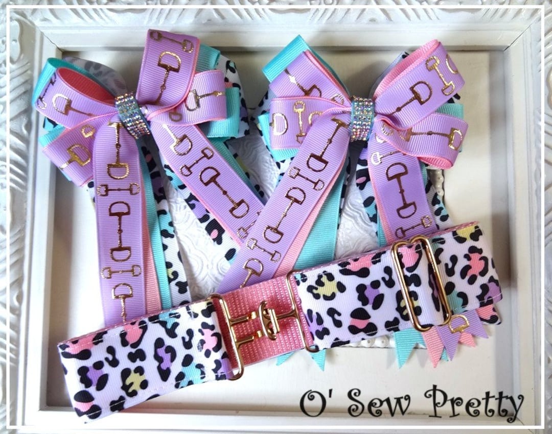 Equestrian Hair Bow, Short Stirrup Bows, Rainbow Horse Show Bows, Fancy ...