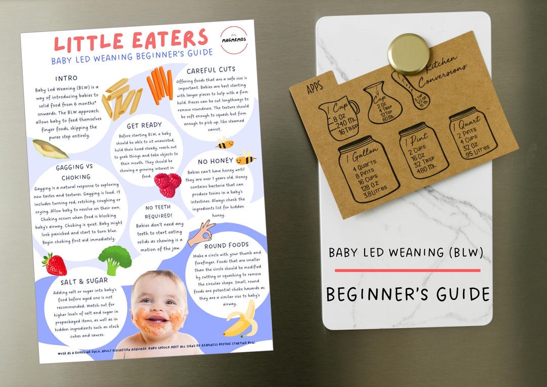 Baby Led Weaning (BLW) Starting Solids Beginner's Guide Downloadable ...