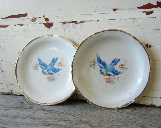 Pair of Vintage Bluebird China Butter Pats With Gold Detail - Etsy