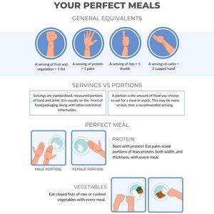Portion Size Cheat Sheet Eating Healthy Food Portions - Etsy
