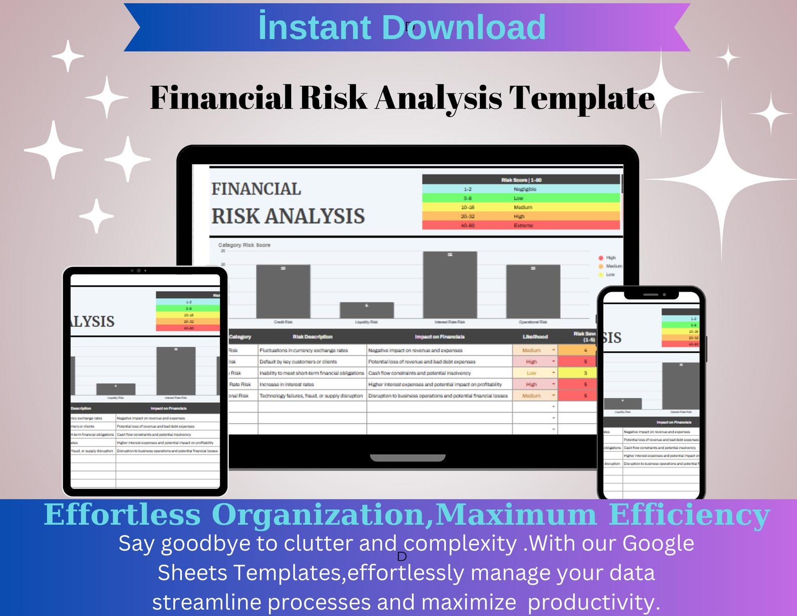 Financial Risk Analysis Template, Editable Google Sheets, Digital ...