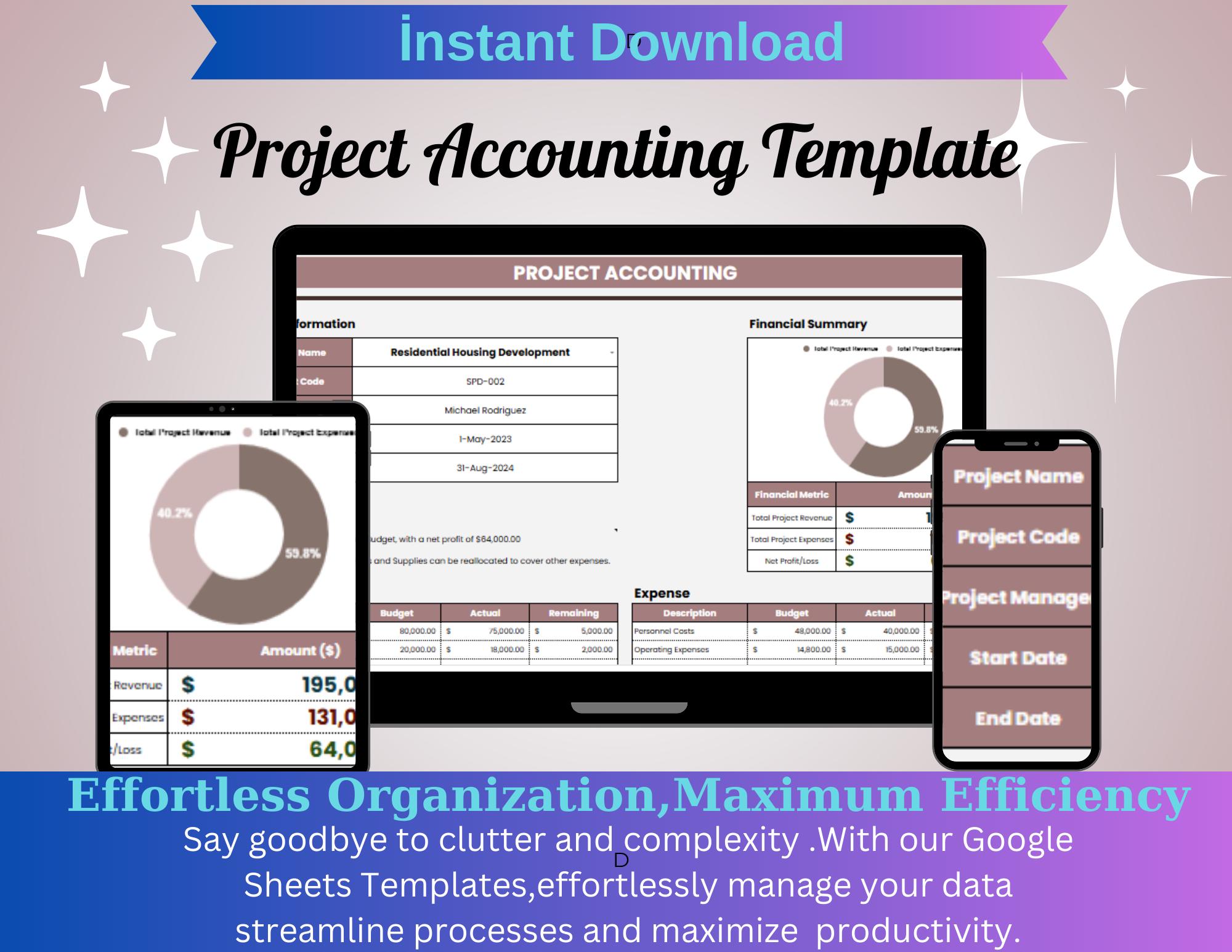 Project Accounting Template, Digital Download, Editable & Easy to Use ...