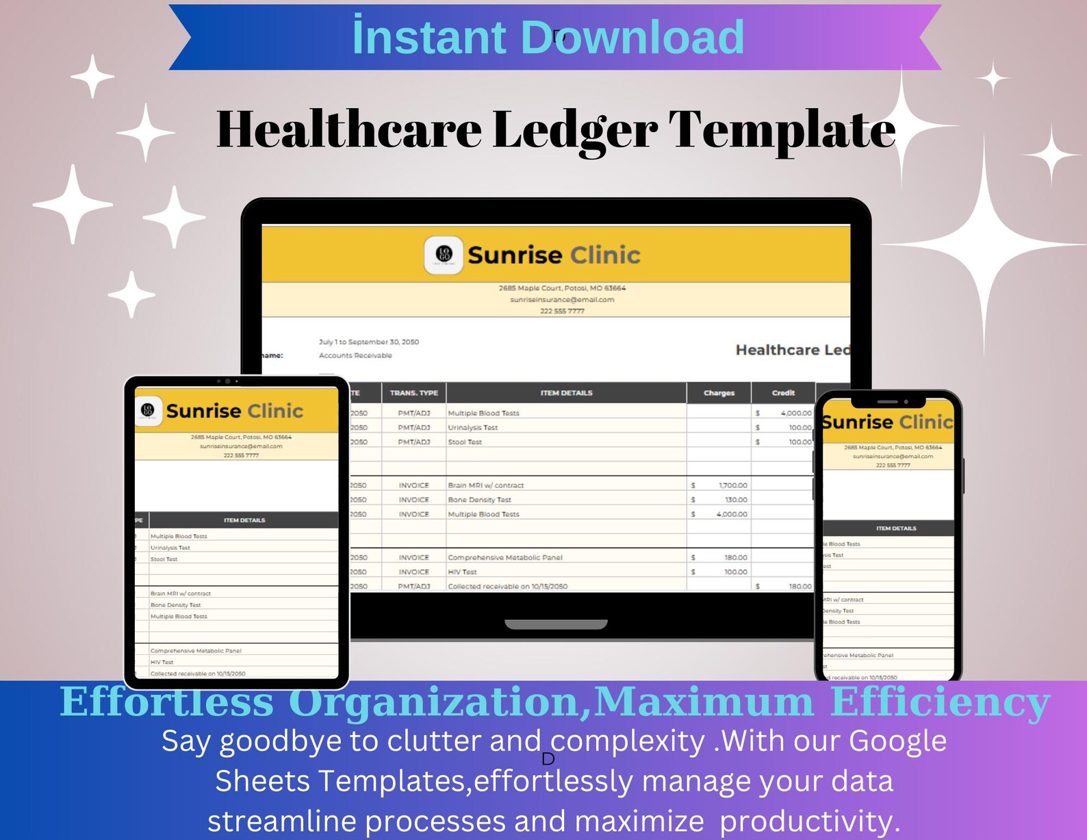 Healthcare Ledger Template, Editable Google Sheets, Digital Download ...