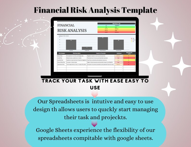 Financial Risk Analysis Template, Editable Google Sheets, Digital ...