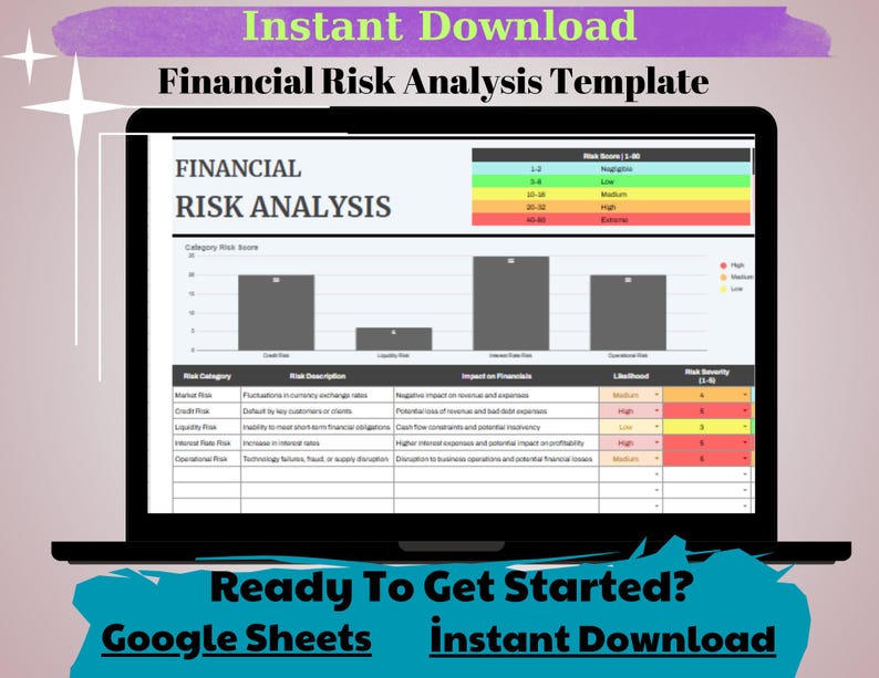 Financial Risk Analysis Template, Editable Google Sheets, Digital ...