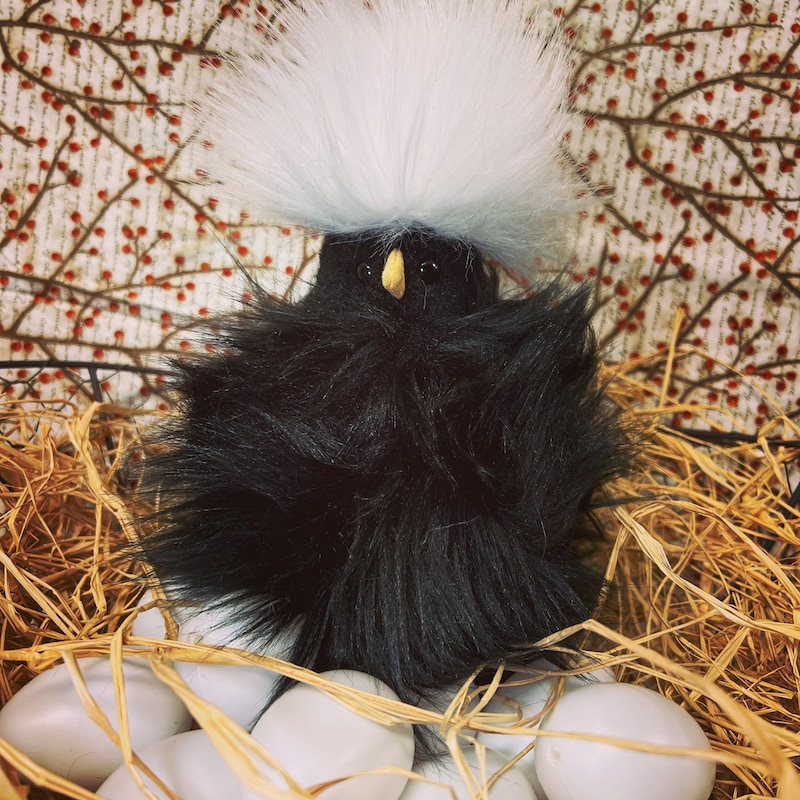 Polish Chicken - Etsy