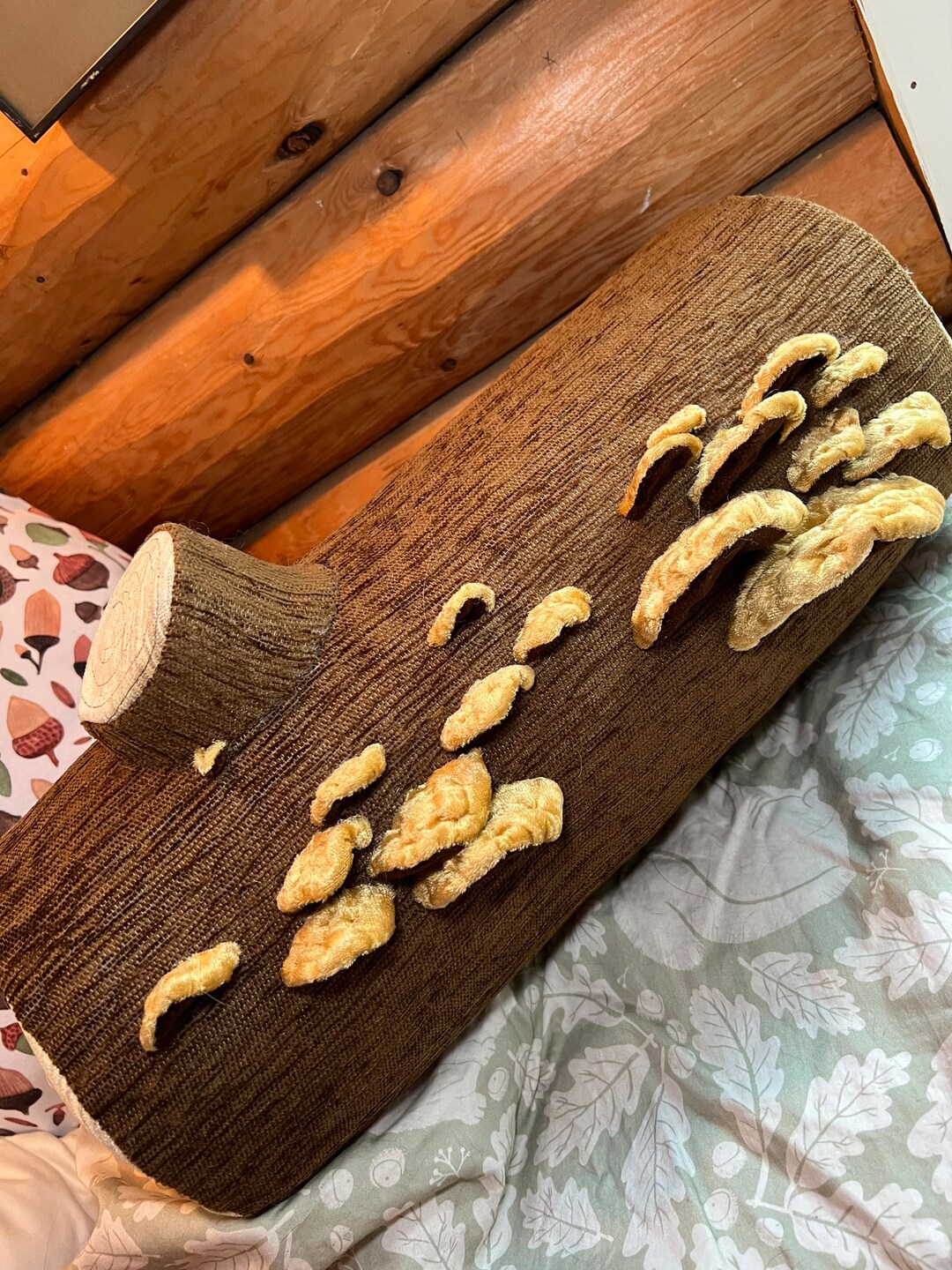 Your Very Own Log With Fuzzy Fungus - Etsy Canada