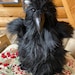 Little Boy Boo - Etsy