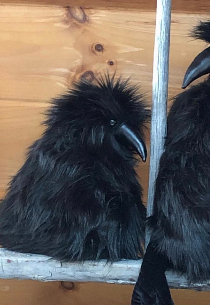 Little Boy Boo | Etsy