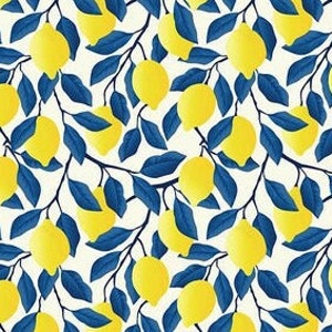 Lemon Dexcom G7 Decals - 3 COUNT - Etsy