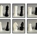 Kansas State University Rotating Chess Set - K-state Colors, Custom ...