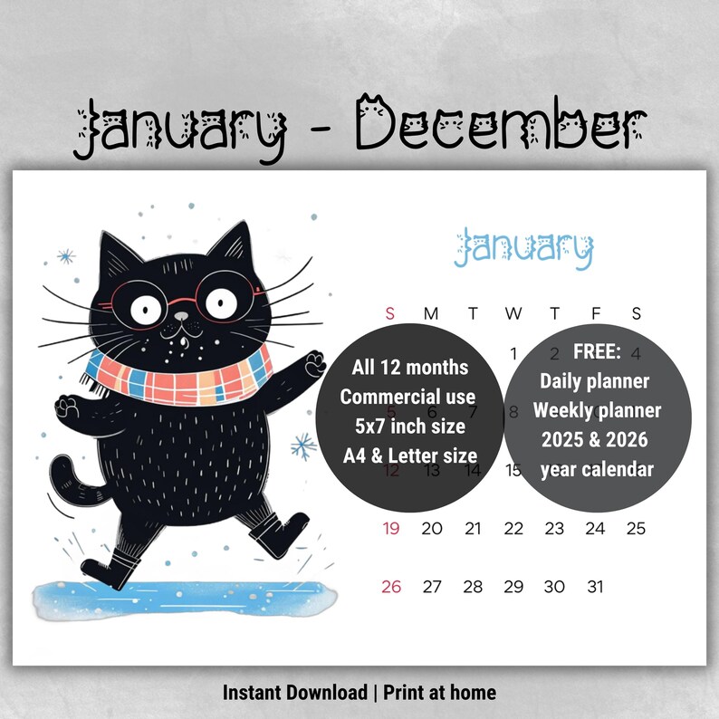 Funny Cat 2025 Desk Calendar Mini Monthly Calendar 2025 Monthly Planner ...