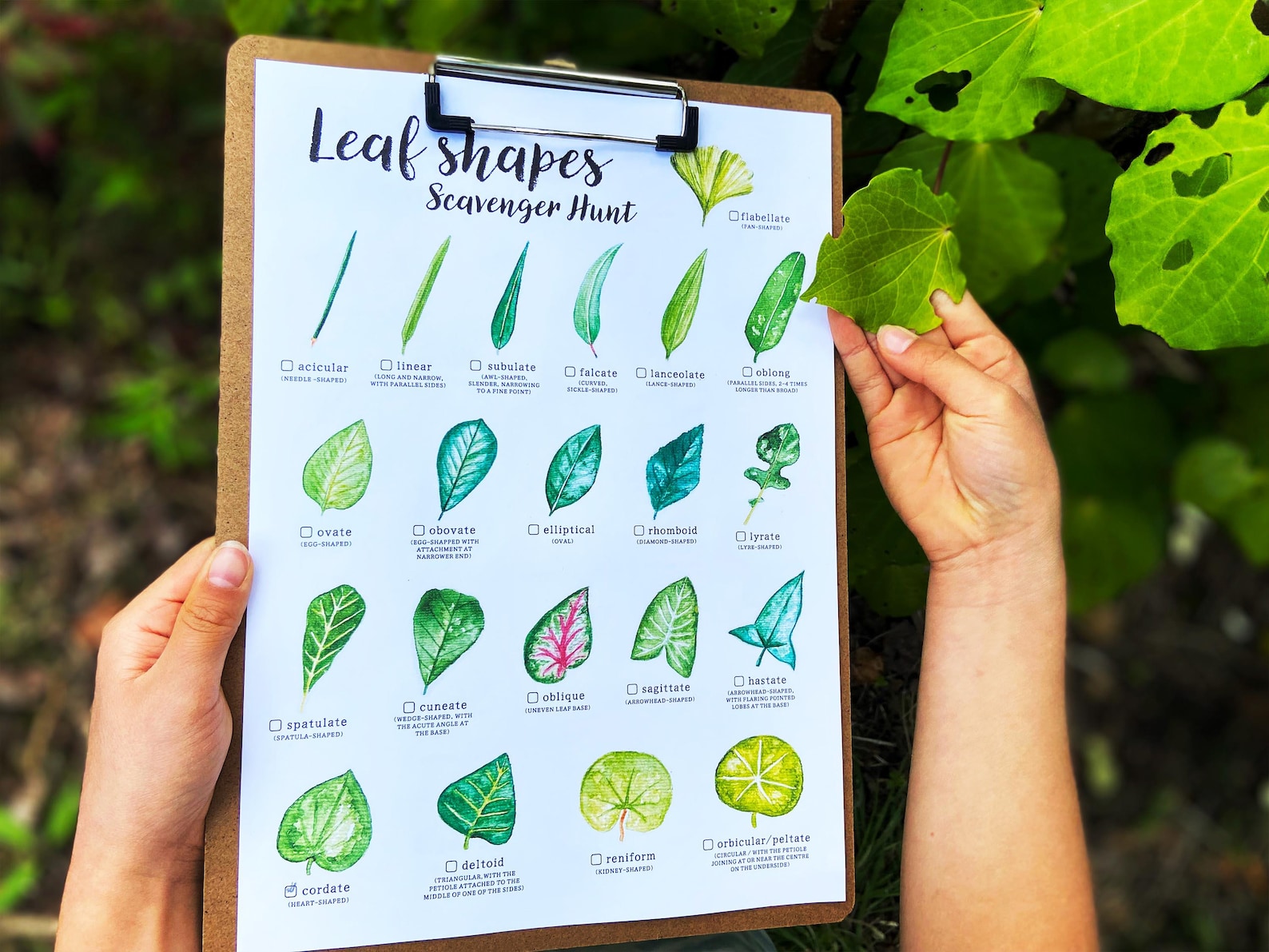 Leaf Shapes Scavenger Hunt, Printable Nature Activity for Kids, Outdoor ...