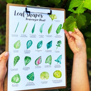 Leaf Shapes Scavenger Hunt, Printable Nature Activity for Kids, Outdoor ...