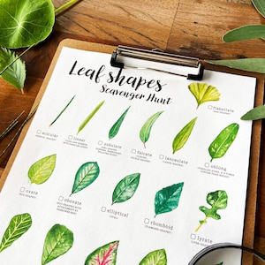Leaf Shapes Scavenger Hunt, Printable Nature Activity for Kids, Outdoor ...