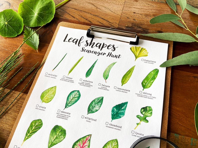 Leaf Shapes Scavenger Hunt, Printable Nature Activity for Kids, Outdoor ...