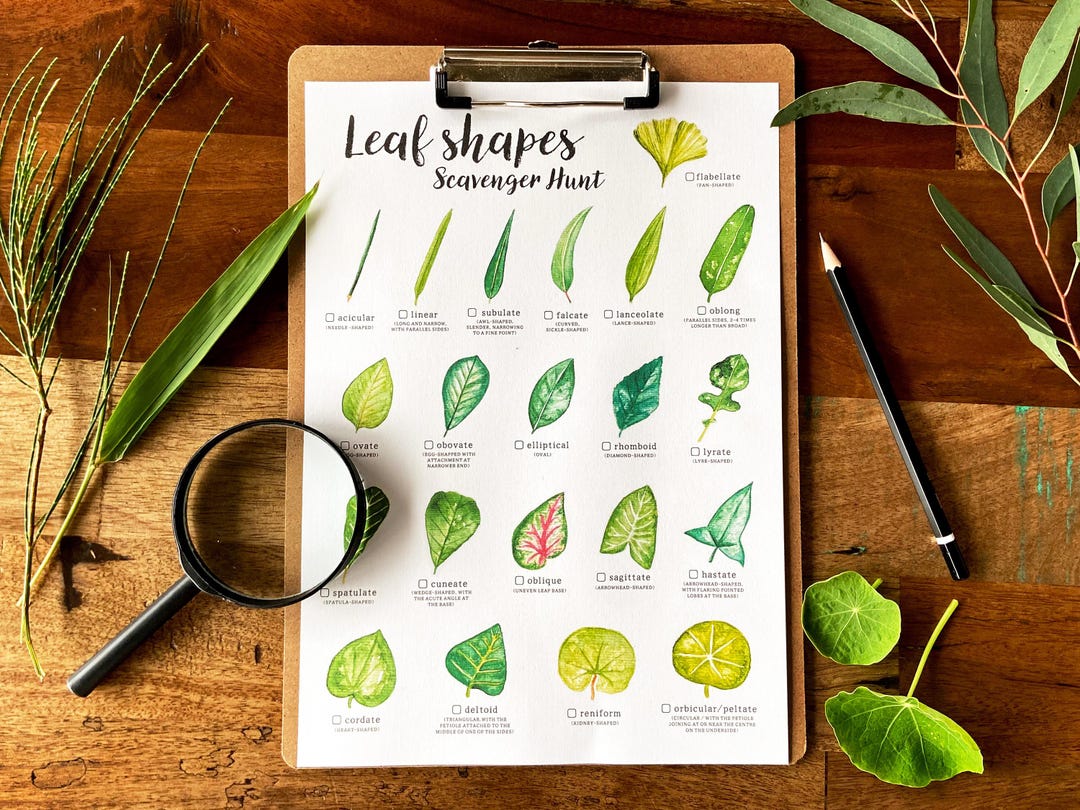 Leaf Shapes Scavenger Hunt, Printable Nature Activity for Kids, Outdoor ...