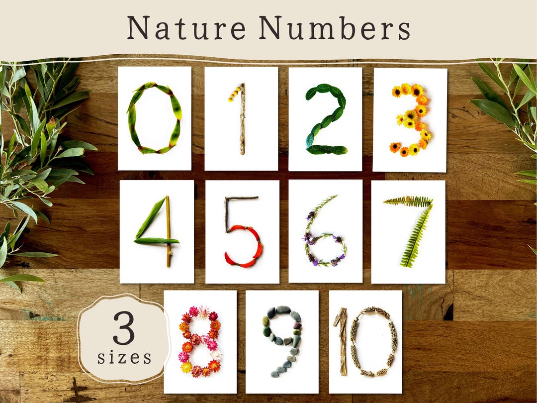 Nature Number Cards 0 to 10 | Outdoor Loose Parts Play | Reggio Emilia ...