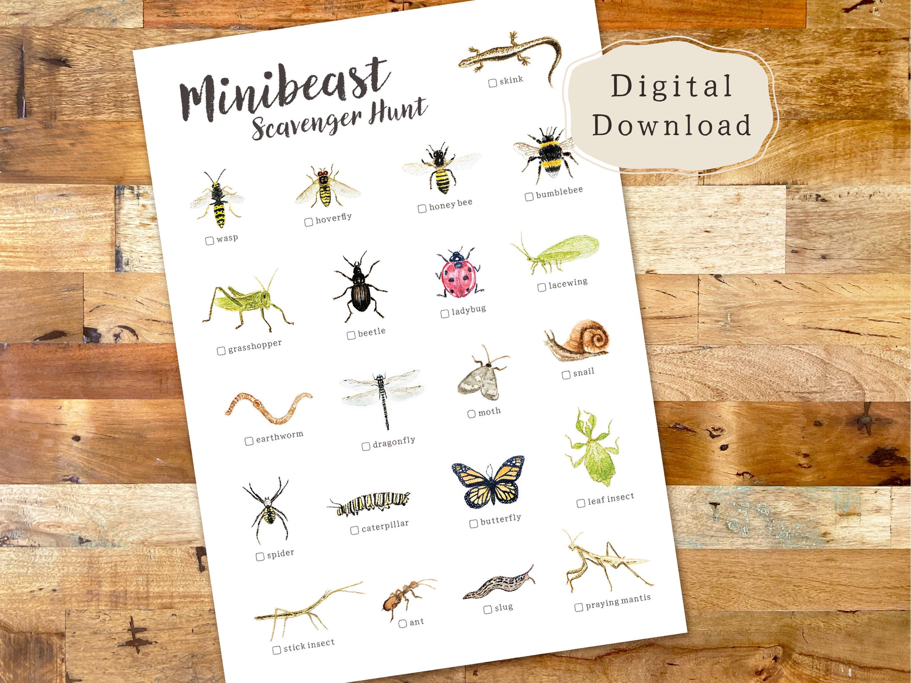 Minibeast Scavenger Hunt, Printable Nature Kids Activity, Outdoor ...