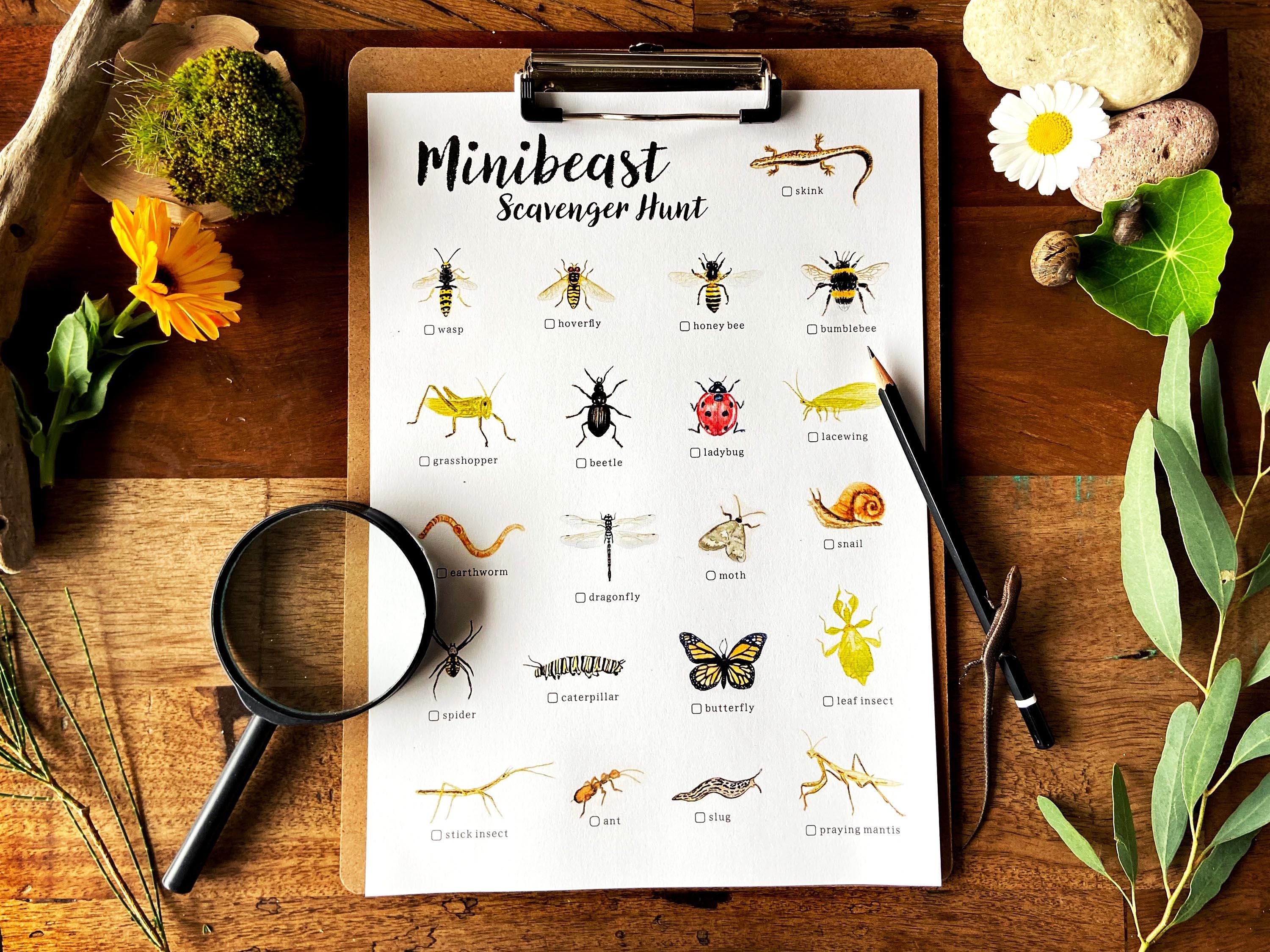 Minibeast Scavenger Hunt, Printable Nature Kids Activity, Outdoor ...