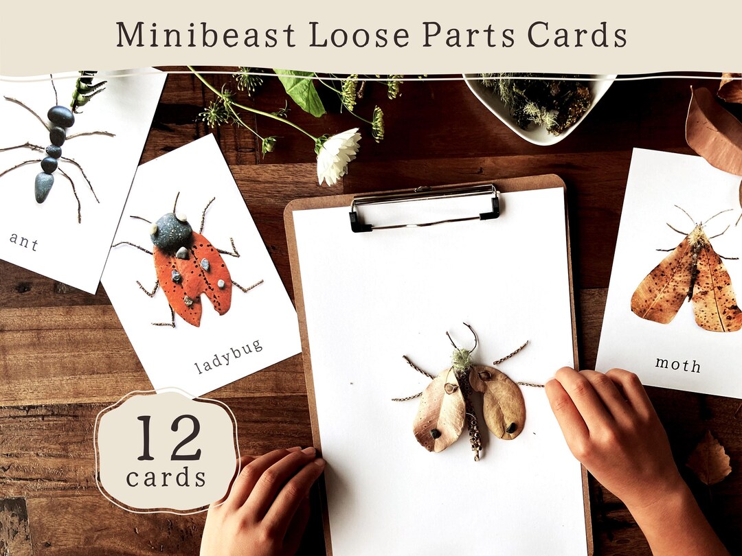 Minibeast Loose Parts Play Provocation Cards | Natural Materials ...