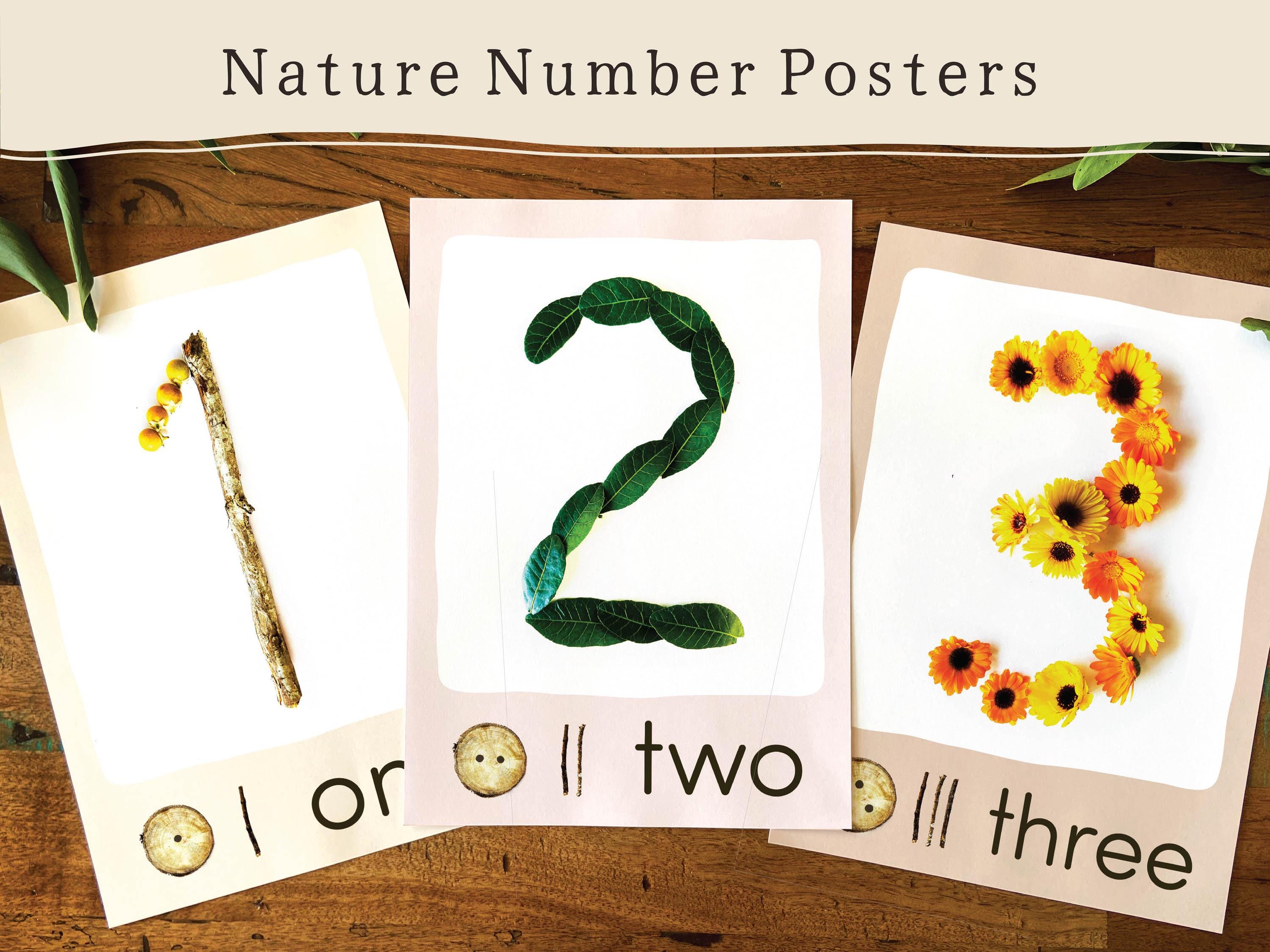 Nature Number Posters 0 to 10 | Loose Parts Number Cards | Reggio Loose ...
