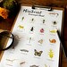 Minibeast Scavenger Hunt, Printable Nature Kids Activity, Outdoor ...