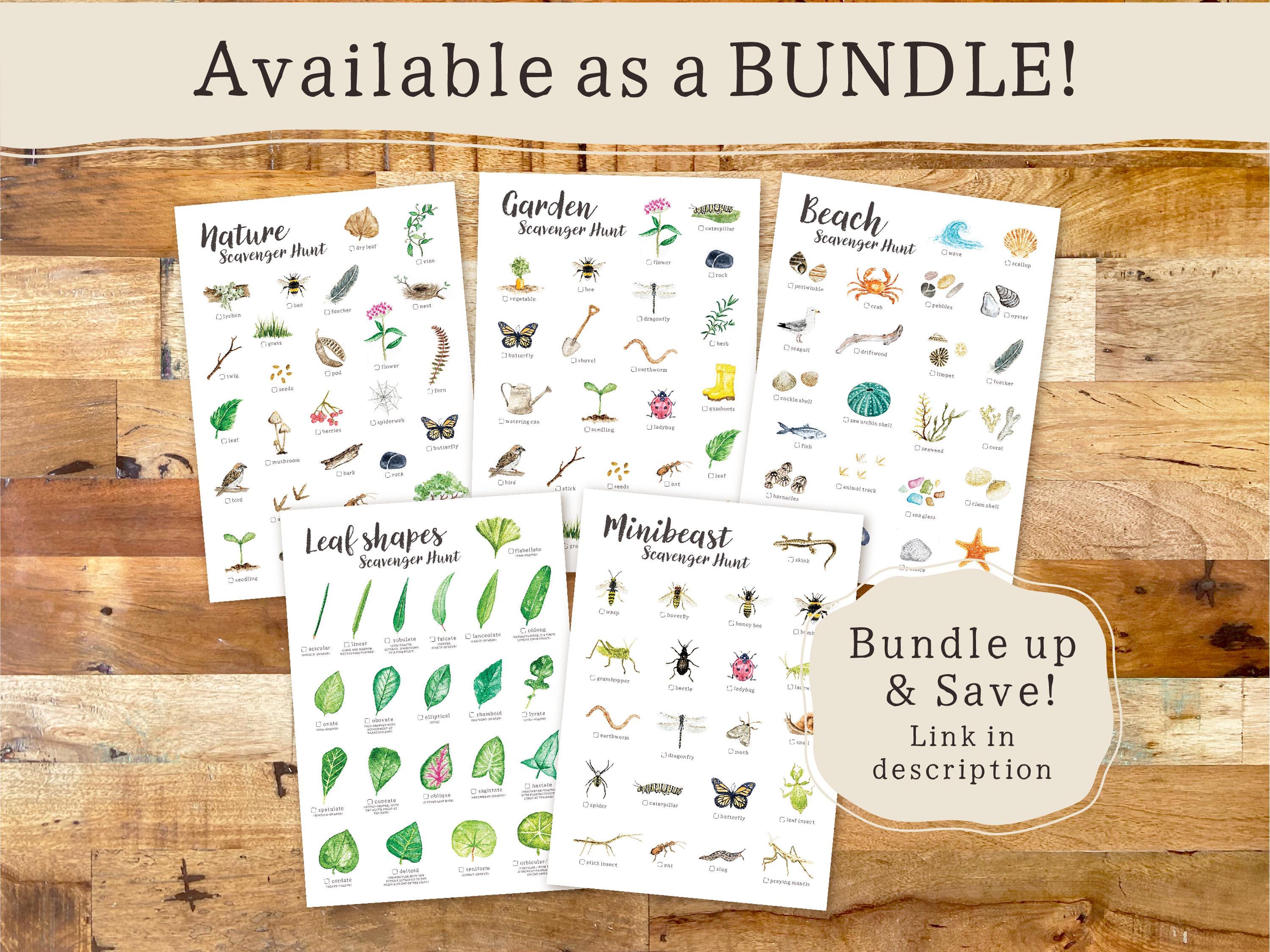 Leaf Shapes Scavenger Hunt, Printable Nature Activity for Kids, Outdoor ...