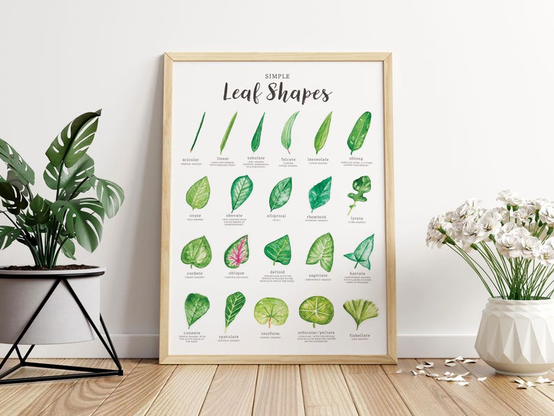 Simple Leaf Shapes Poster, Printable Nature Wall Art, Classroom Decor ...