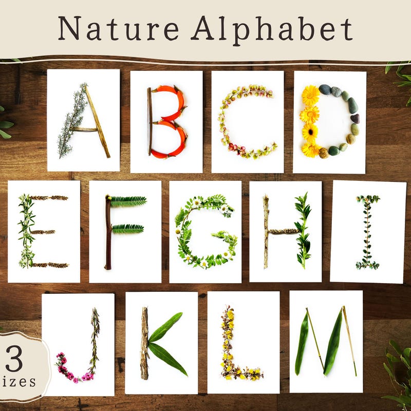 Montessori Alphabet - Etsy