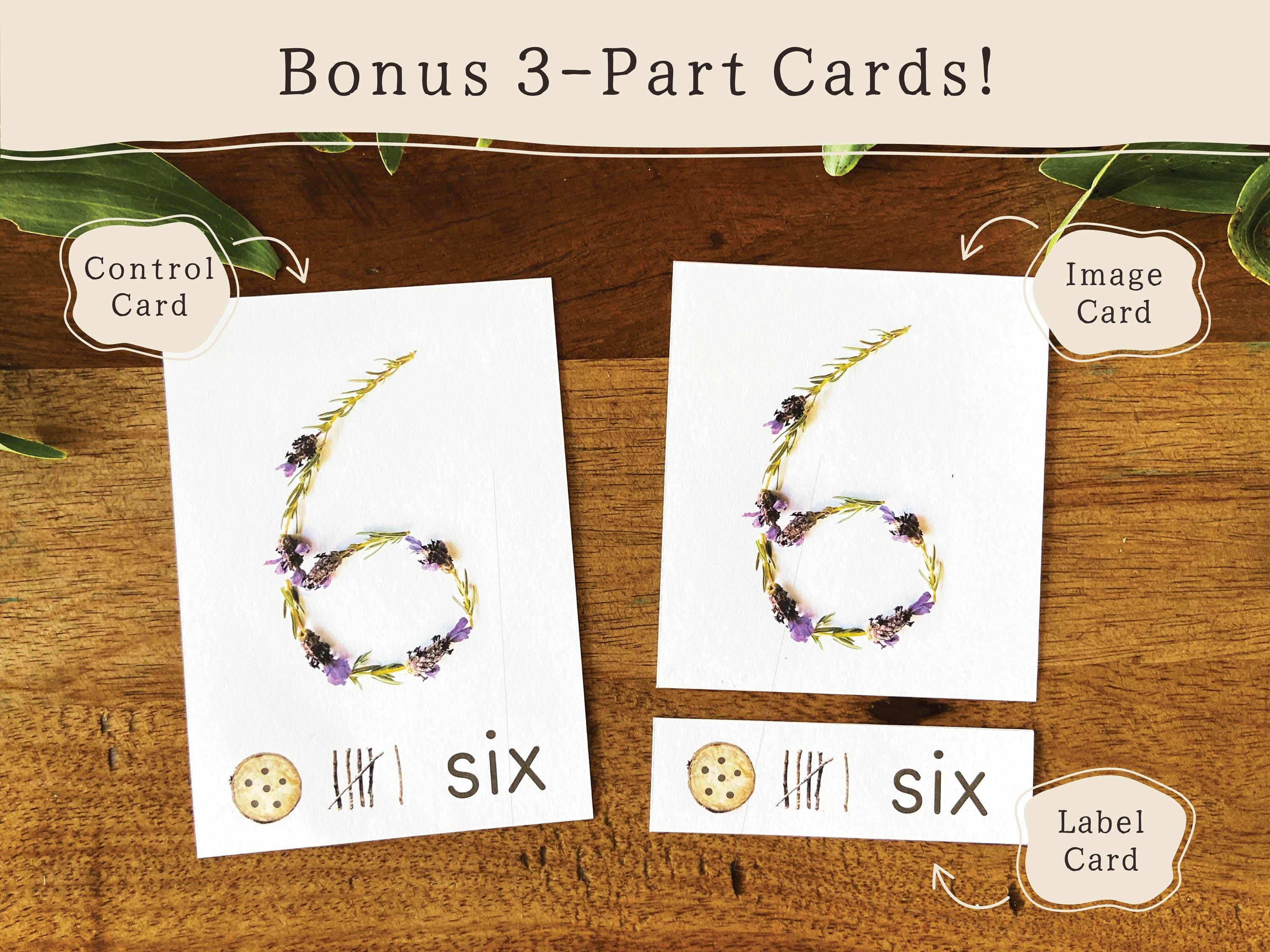 Nature Number Posters 0 to 10 | Loose Parts Number Cards | Reggio Loose ...
