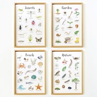 Nature Shapes Loose Parts | Nature Shapes Preschool | Nature Shapes ...