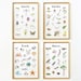 Nature Shapes Loose Parts | Nature Shapes Preschool | Nature Shapes ...