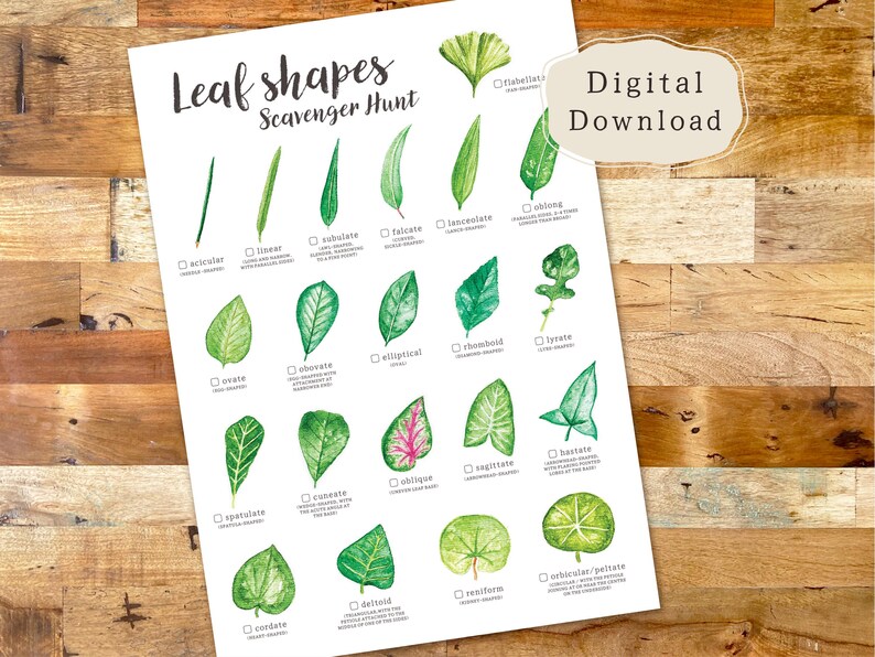 Leaf Shapes Scavenger Hunt, Printable Nature Activity for Kids, Outdoor ...