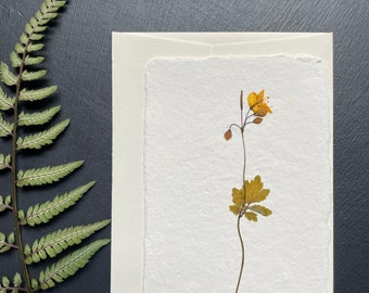 Real Pressed Flower Note Cards With Handmade Paper Random Design ...