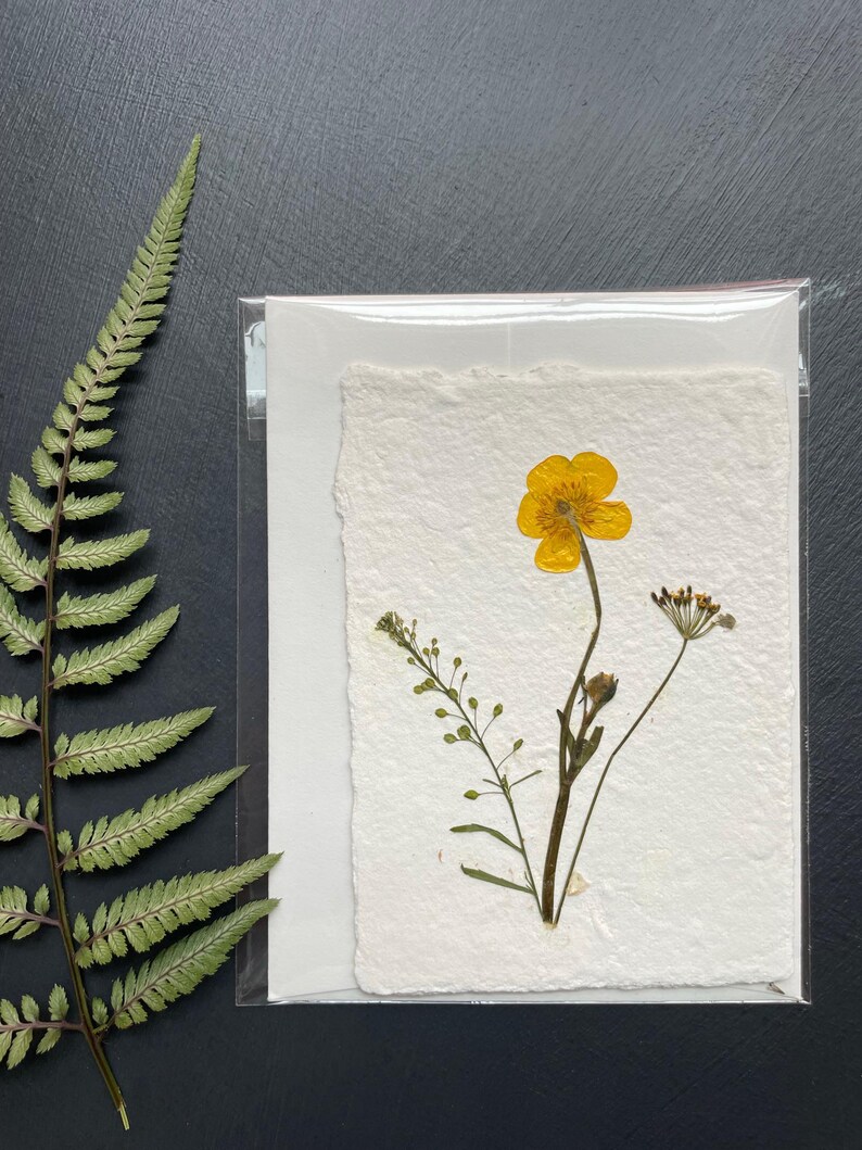 Pressed Flower Note Card - Etsy